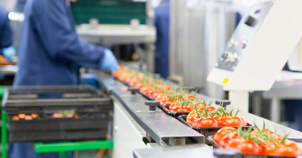 Visual Food Inspection: How AI is Transforming Food… | Robovision