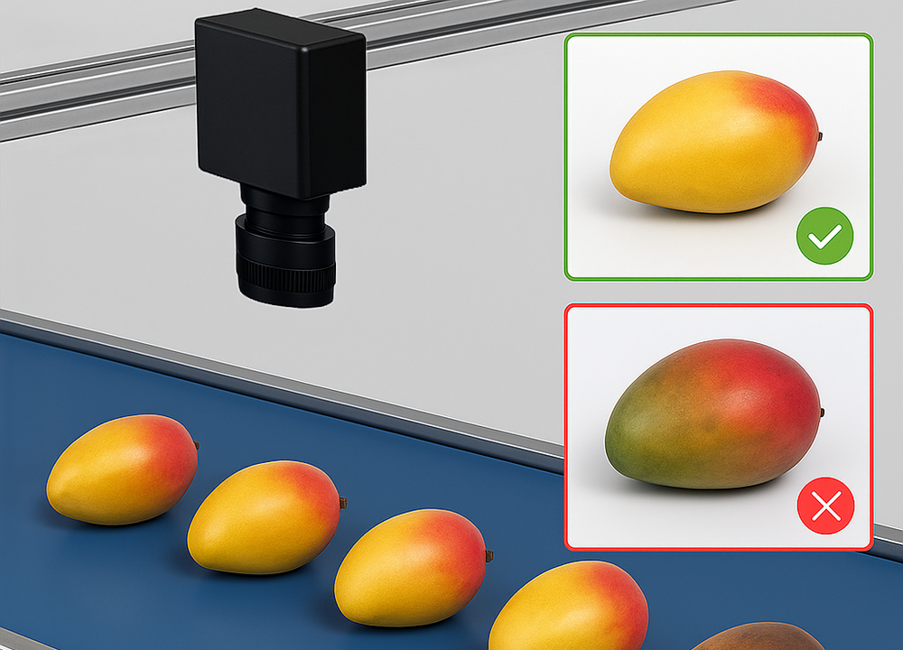 Optical Mango Grader AI-Powered Mango Grading for… | Robovision