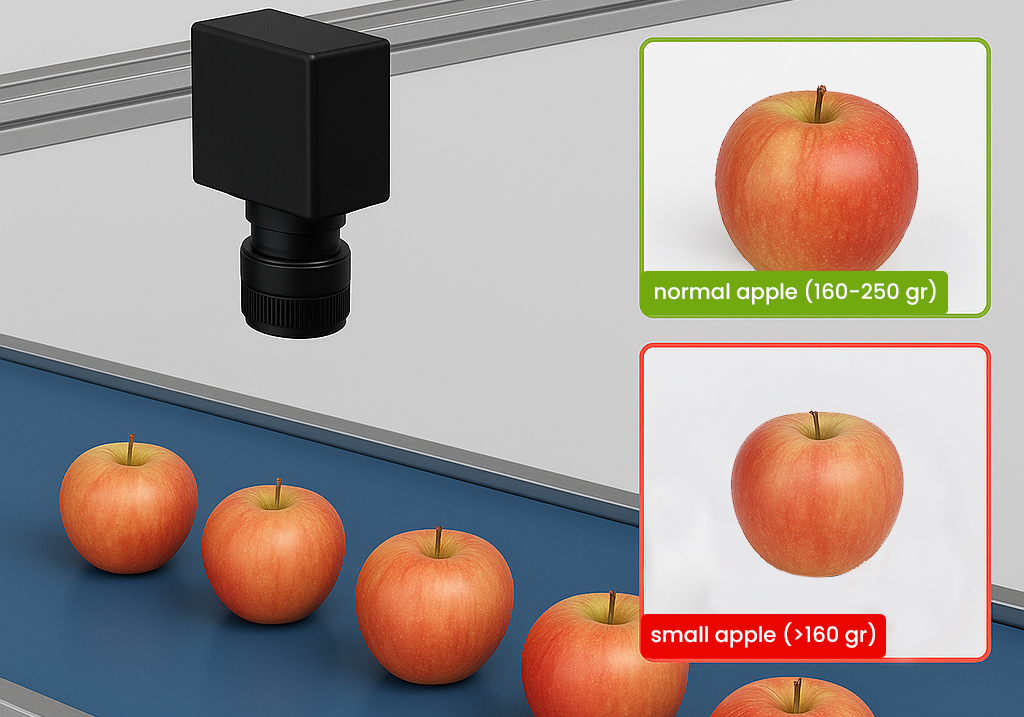 Fruit Grading System AI-Driven Grading for All Fruit… | Robovision