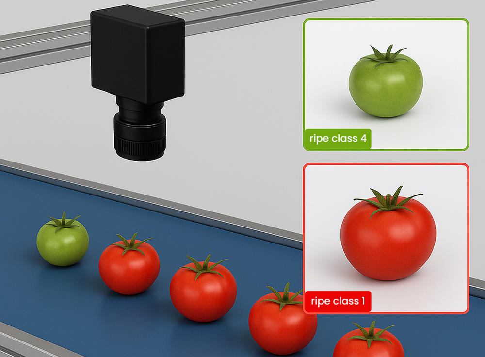 Tomato Optical Sorter AI-Powered Tomato Sorting for… | Robovision