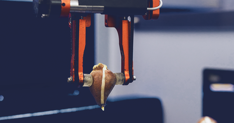 AI Tulip Planter Machine plants 1 billion tulips per year | Robovision