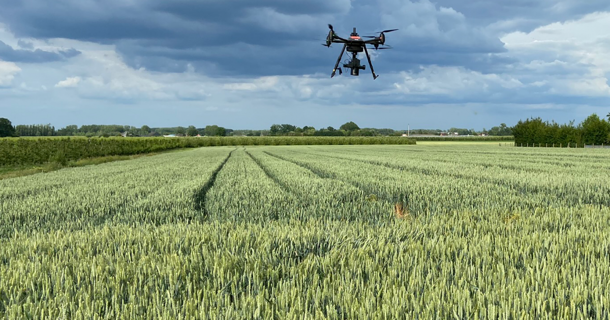 VITO integrates AI into its drone-based image analysis… | Robovision